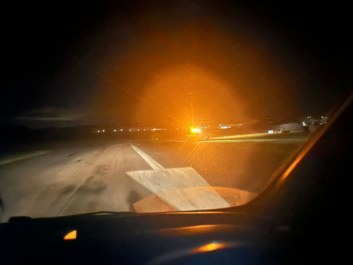 Anatomy of Deer Series 8/10: The Immune and Endocrine Systems ...