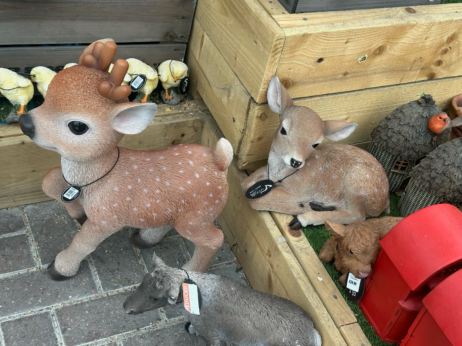 Anatomy of Deer Series 8/10: The Immune and Endocrine Systems ...